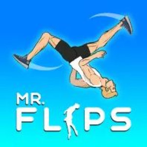 Mr Flip - Play Online