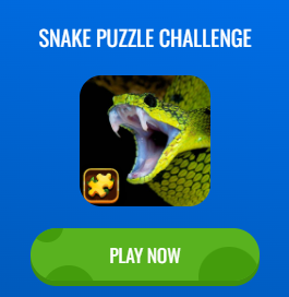 Snake Puzzle Challenge - Play Online